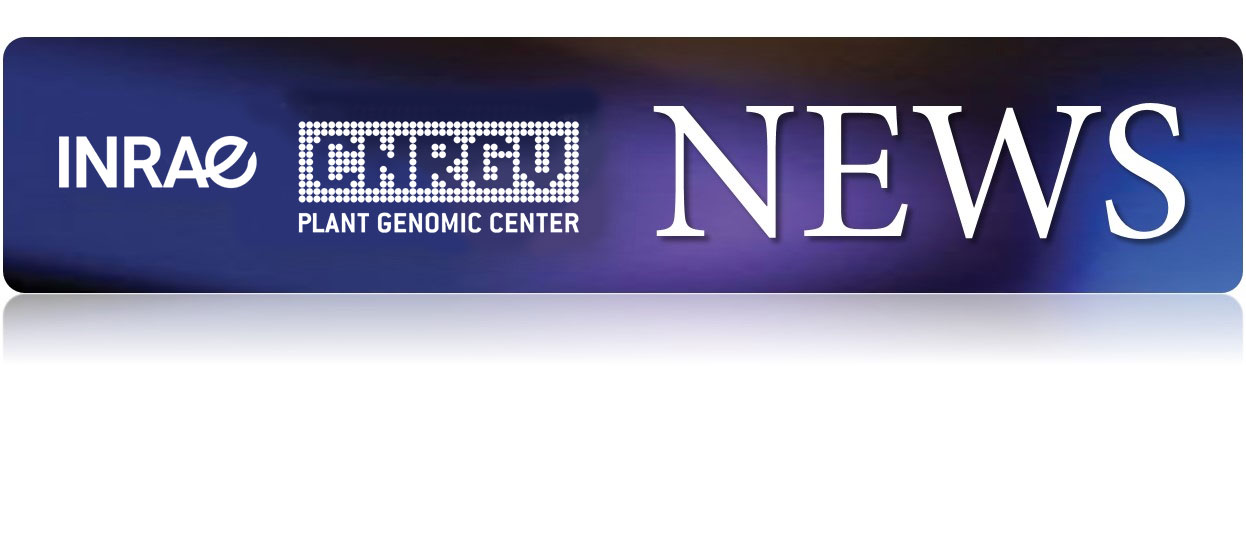 Accueil - CNRGV : Centre National de Ressources Génomiques Végétales