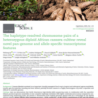 A high-quality genome assembly of African cassava. - CNRGV : Plant ...