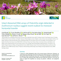 Transfert d’ADN horizontal chez Erythronium dens-canis - CNRGV : Centre ...