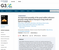 An improved assembly of the pearl millet reference genome using Oxford ...