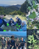Plant sampling in the Massane forest - CNRGV : Plant Genomic Center